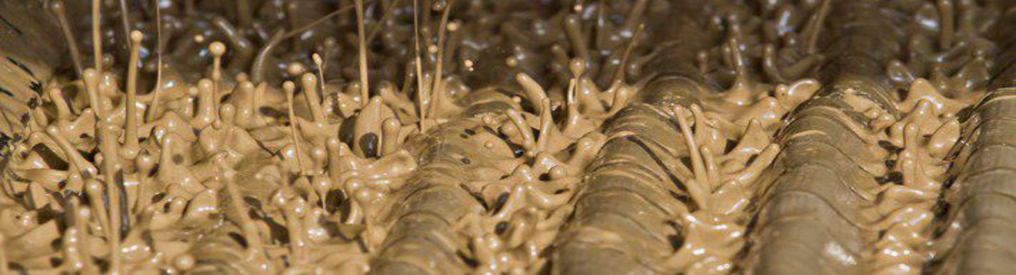 Home - Atdm Drilling